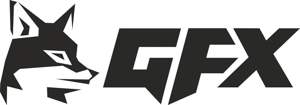 GFX в магазине Holosun